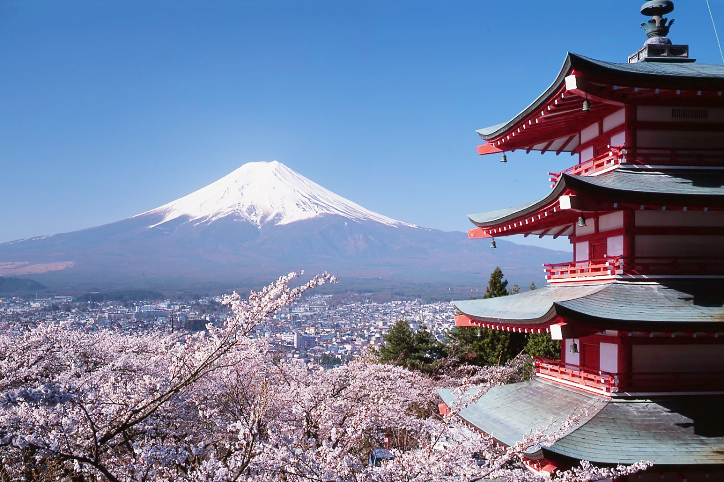 Discover Mt.Fuji, Izu & Hakone area｜JTB USA