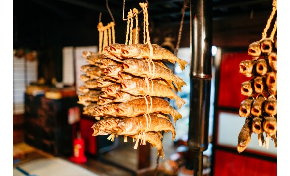 JTB USA Diamond Route: Historical Site & Culture Experience (2days/1night)