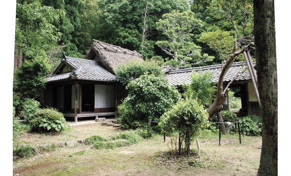 JTB USA Immerse yourself in the Nature-rich town with a deeply rooted ...