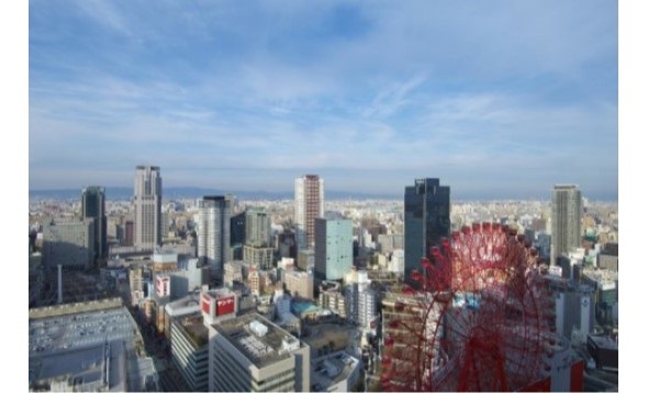 JTB USA Downtown Osaka Walking and Local Food Tour